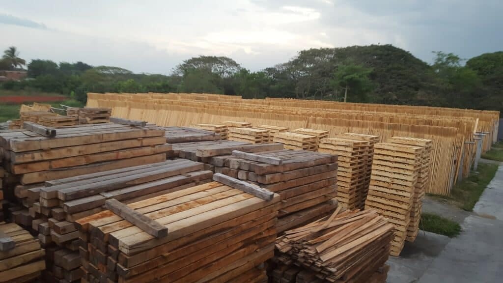 Timber plantation - MADEPAL: Estibas de Madera, Pallets, Carretes ...